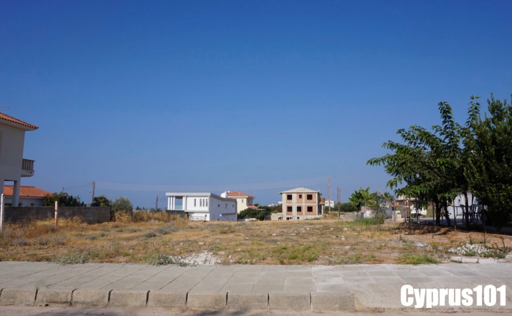 Timi Archives - Paphos Property Estate Agents