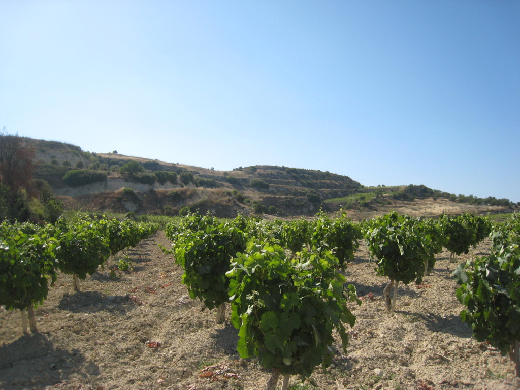 Kathikas Village, Paphos, Cyprus - Paphos Property Estate Agents